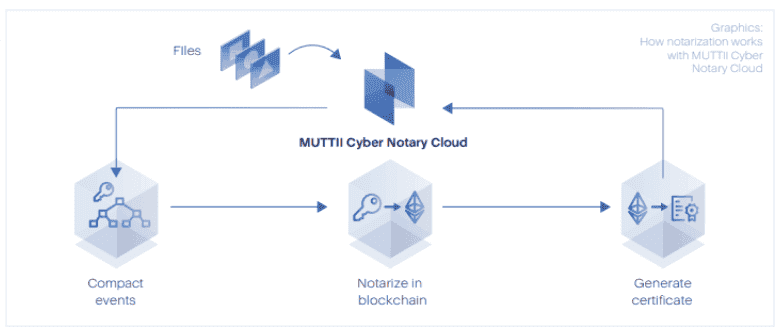 IT Success Case Studies – Muttii Technologies